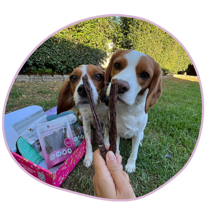 Who Really Owns Your Pet Food? Mars, Nestlé, and the Australian Pet In - Laila and Me