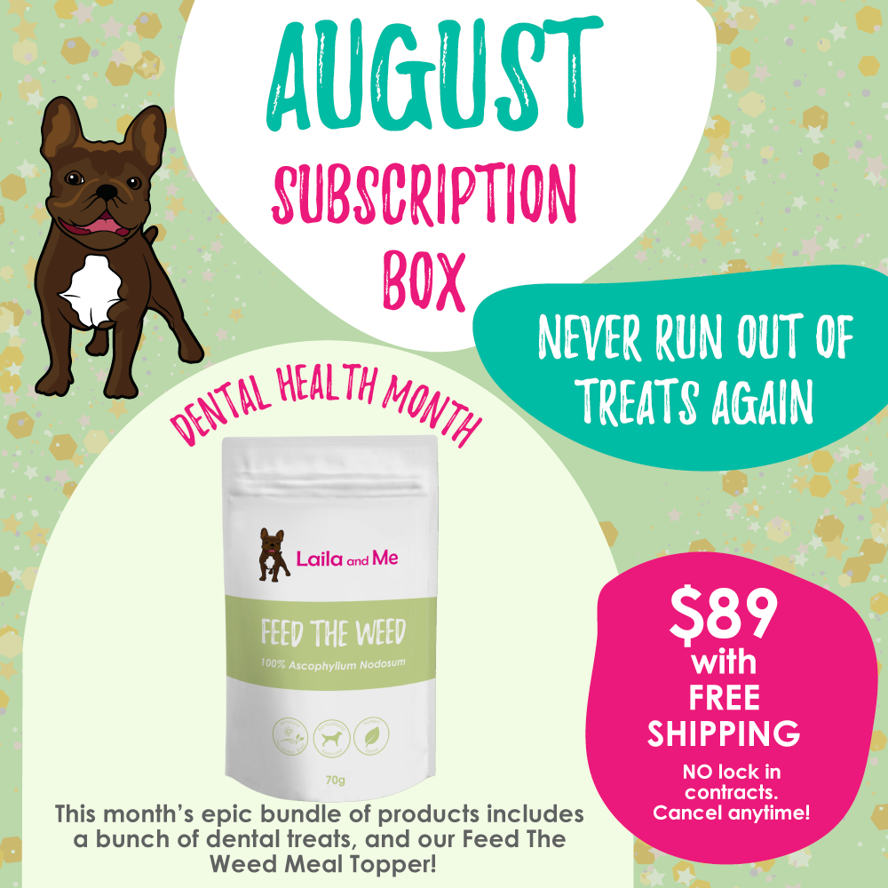 Ultimutt Dog Box | Monthly Subscription Box
