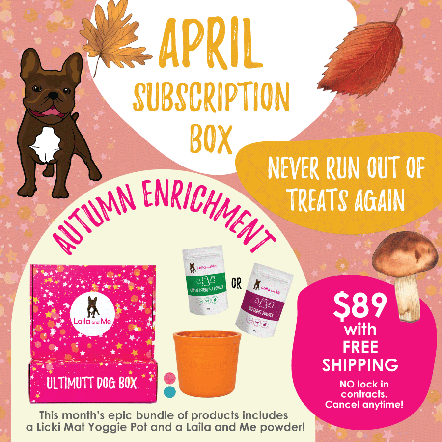 Monthly Subscription Box for Dogs | Pamper your Pooch - Laila and Me