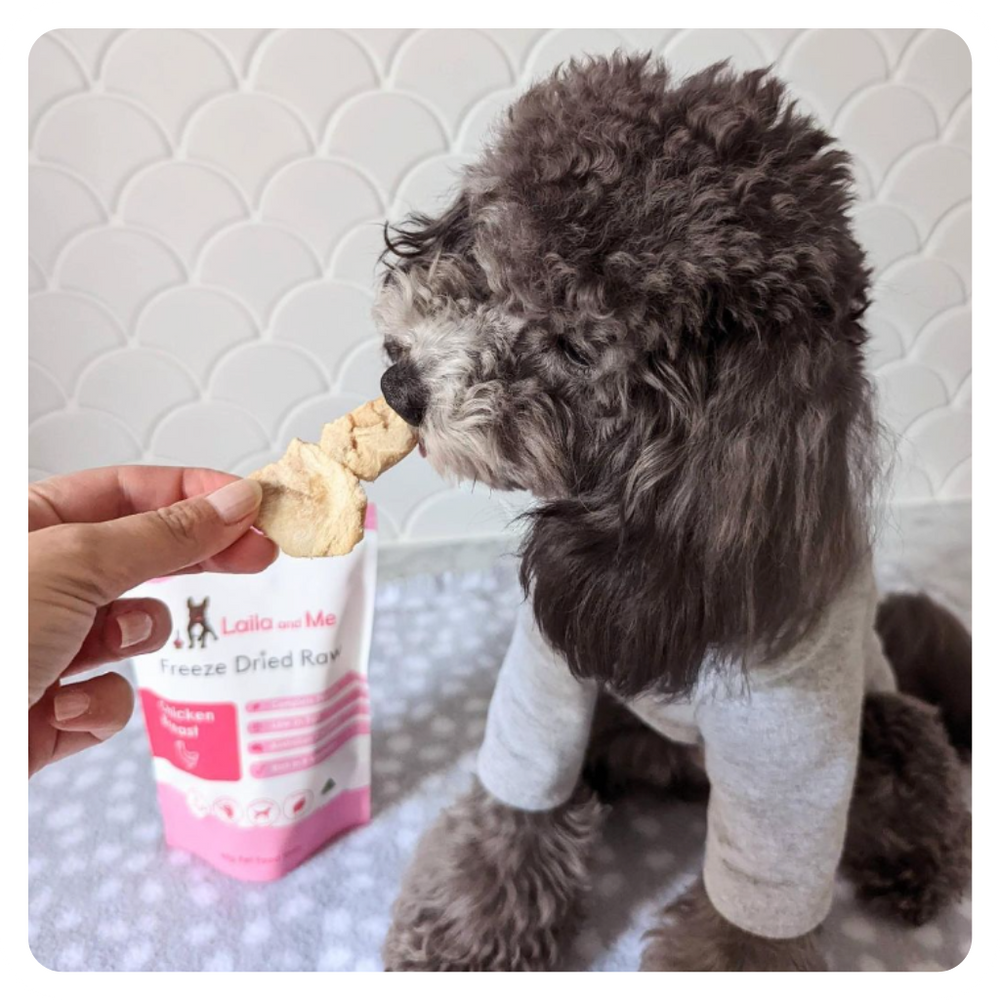 Laila and Me - Aussie Treat business making a difference