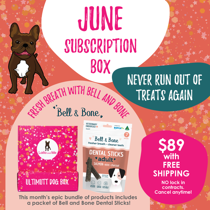 Ultimutt Dog Box | Monthly Subscription Box